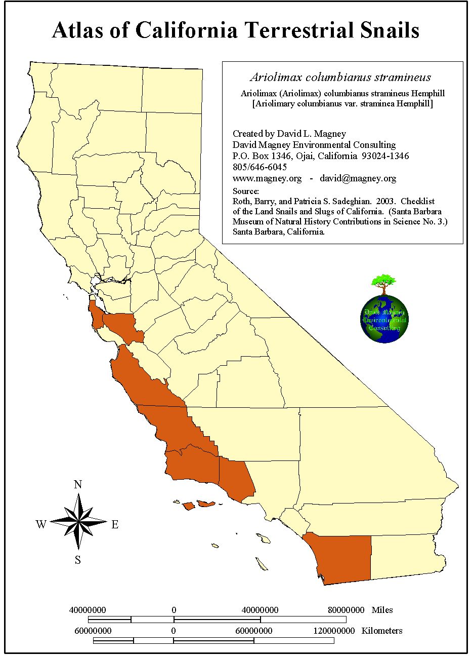 David Magney - Ventura County Terrestrial Snails