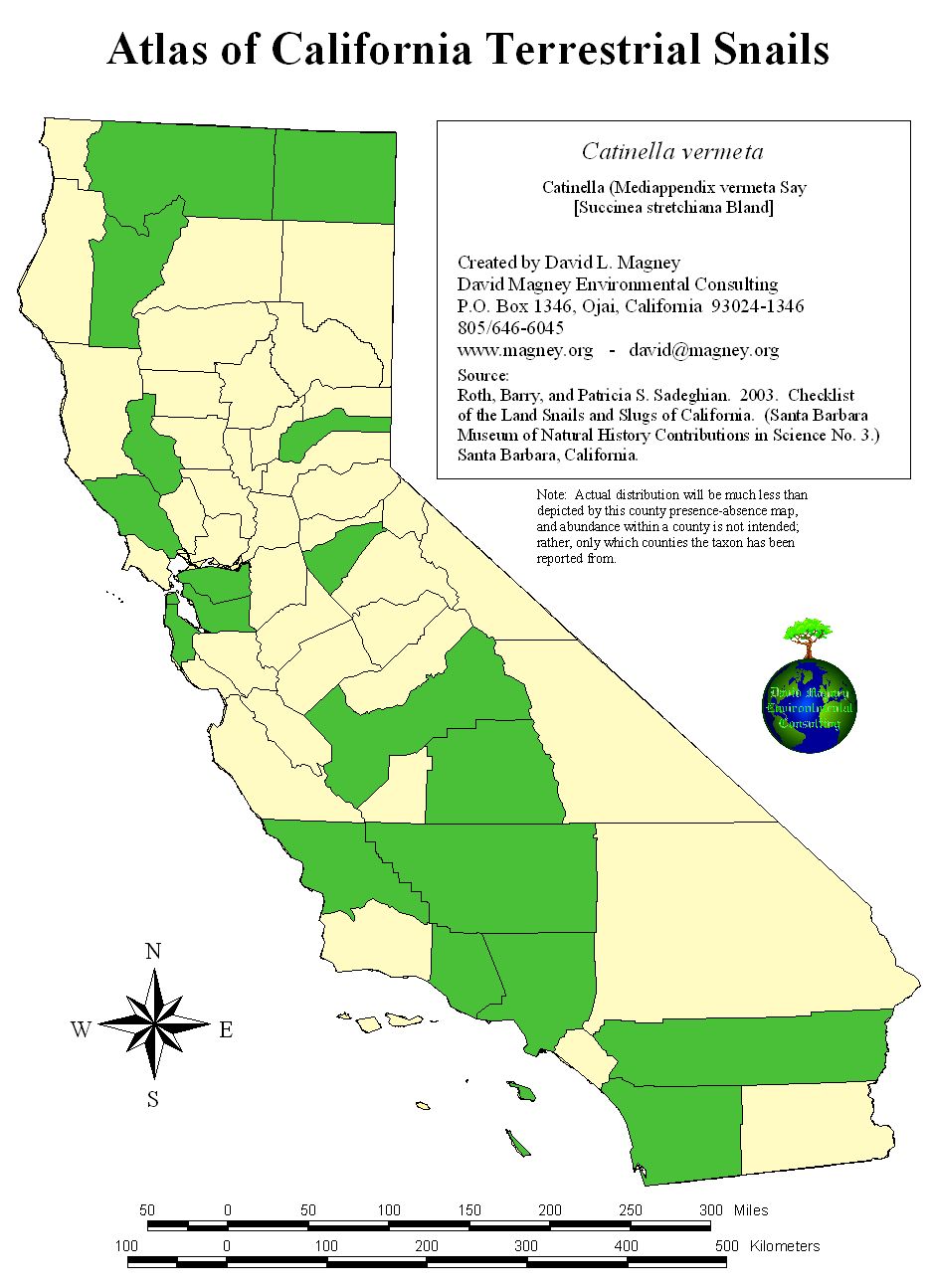 David Magney - Ventura County Terrestrial Snails
