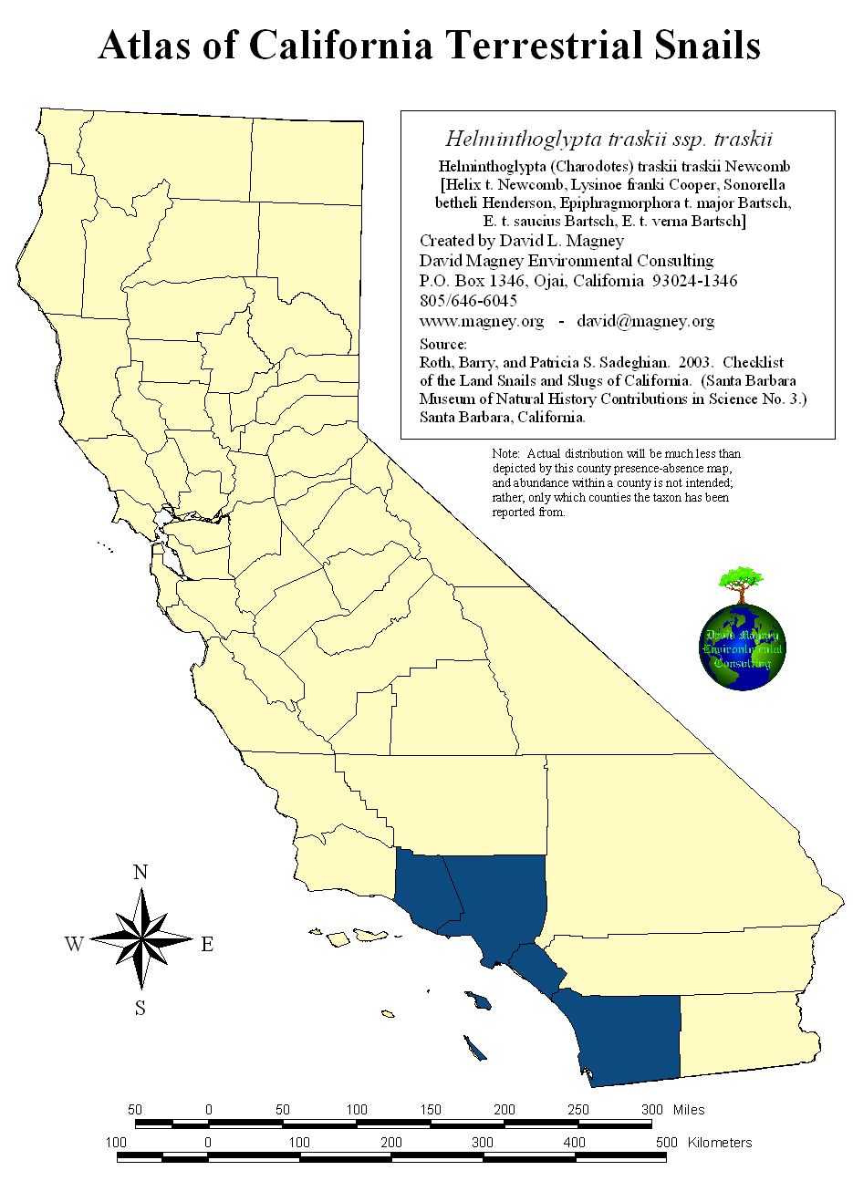 David Magney - Ventura County Terrestrial Snails