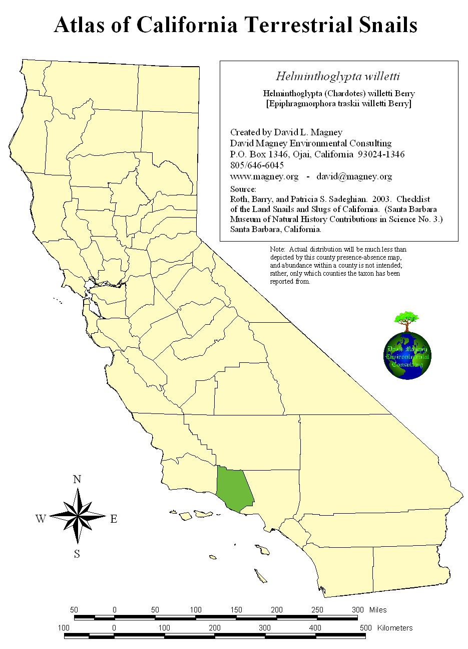 David Magney - Ventura County Terrestrial Snails